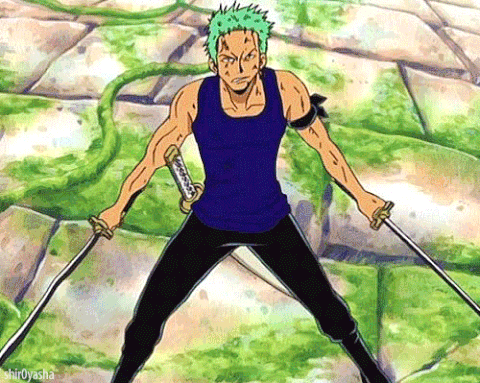 Roronoa Zoro GIFs - Find & Share on GIPHY
