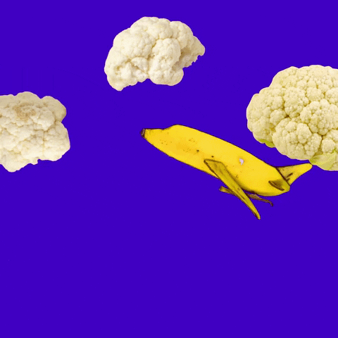 Fly Flying GIF - Find & Share on GIPHY