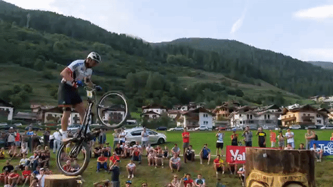 - Find & Share on GIPHY