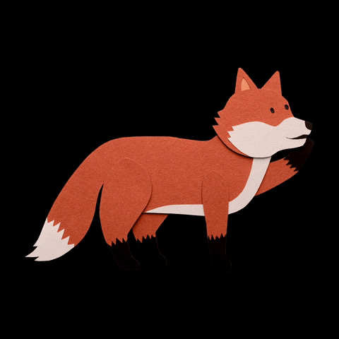 Fox Autumn GIF by Rotbaeckchensaft - Find & Share on GIPHY