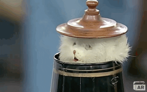Surprised Pop Up GIF by ANTIQUES ROADSHOW | PBS - Find & Share on GIPHY