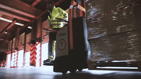 Palibex GIF - Find & Share on GIPHY