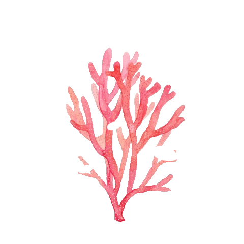 Sea Fish Sticker for iOS & Android | GIPHY