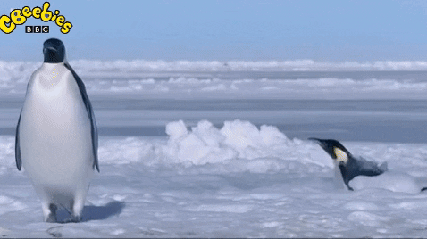 Bbc Falling GIF by CBeebies HQ - Find & Share on GIPHY