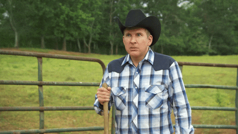 Dude Ranch GIF - Find & Share on GIPHY