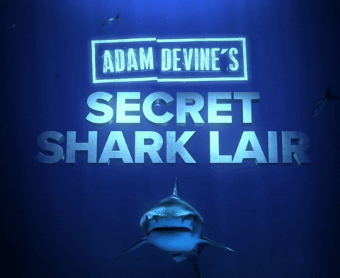 Adam Devine Discovery GIF by Shark Week - Find & Share on GIPHY