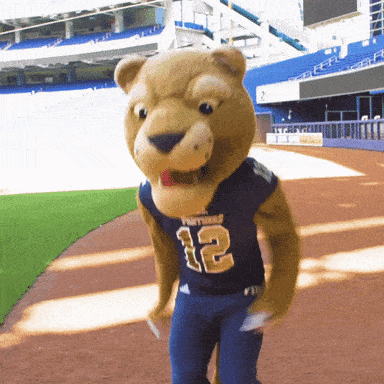 Football Miami GIF by FIU - Find & Share on GIPHY