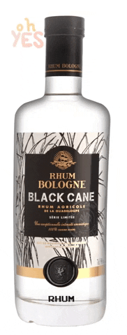 Rhum Bologne GIF - Find & Share on GIPHY