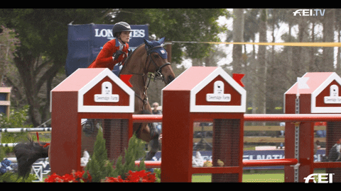Jumping Team Usa GIF by FEI Global - Find & Share on GIPHY