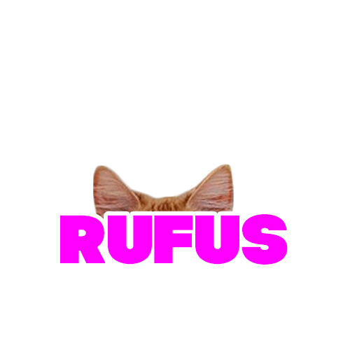 Cat Rufus Sticker for iOS & Android | GIPHY
