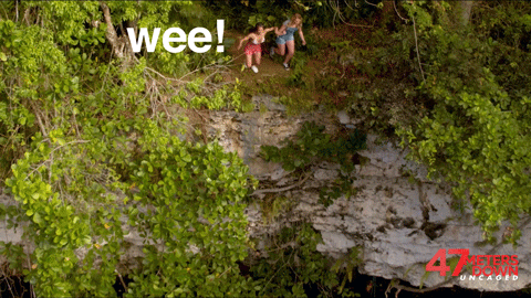 Wee Here We Go GIF by 47 Meters Down Uncaged - Find & Share on GIPHY