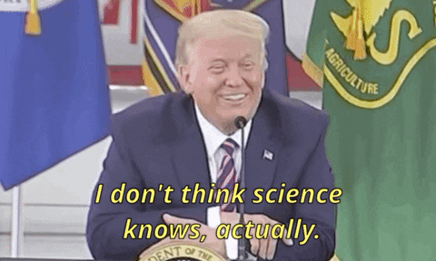 Donald Trump GIF by GIPHY News - Find & Share on GIPHY