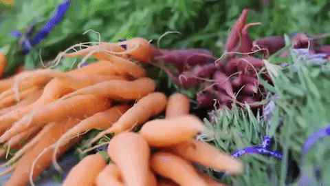 Xyngular Healthy Vegetables Veggies Healthyfood Weightloss GIF by ...