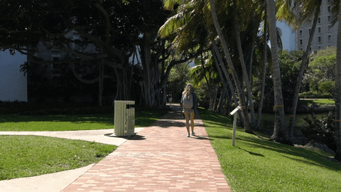 The U Lake Osceola GIF by Miami Hurricanes - Find & Share on GIPHY