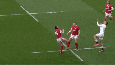 GIF by Rugbydump - Find & Share on GIPHY