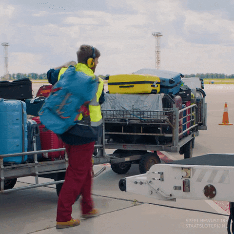 Eyes Airport GIF by Staatsloterij - Find & Share on GIPHY