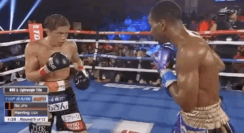 Top Rank Boxing GIF - Find & Share on GIPHY