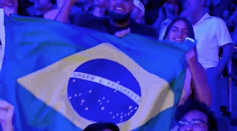 Brazil Flag Sport GIF by UFC - Find & Share on GIPHY