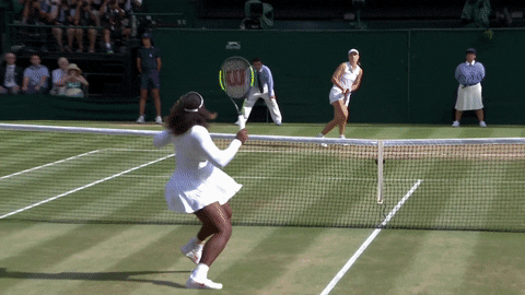 Tennis Lol GIF by Wimbledon - Find & Share on GIPHY