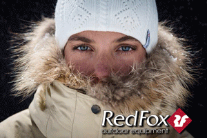 Red Fox GIF - Find & Share on GIPHY