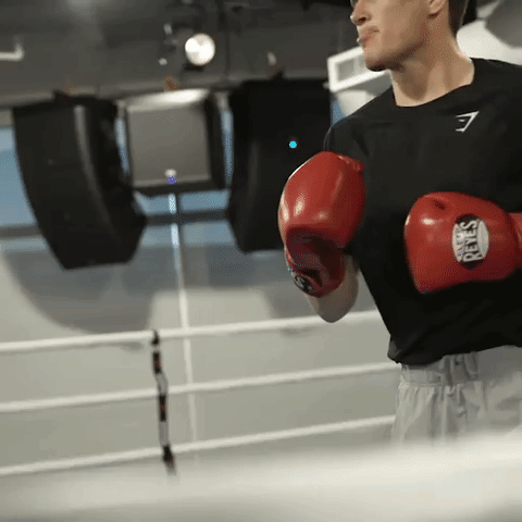 Fight Ufc GIF by Gymshark - Find & Share on GIPHY