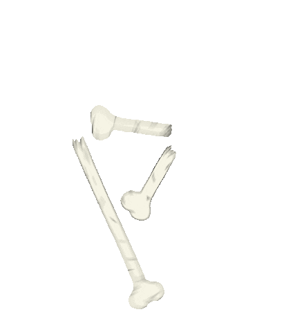 Bones Characters Sticker by Peter Bjorn and John for iOS & Android | GIPHY