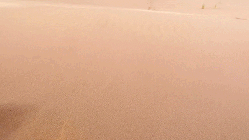 Sand GIF - Find & Share on GIPHY
