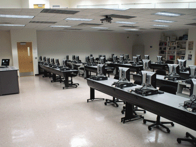 Education GIF - Find & Share on GIPHY