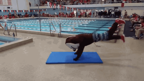 Swim Swimming GIF by uwmadison - Find & Share on GIPHY