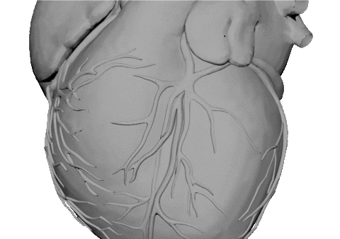 Animation Design Sticker by alperdurmaz for iOS & Android | GIPHY