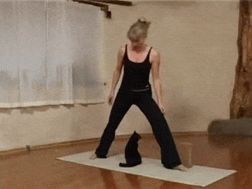 Grab GIF - Find & Share on GIPHY