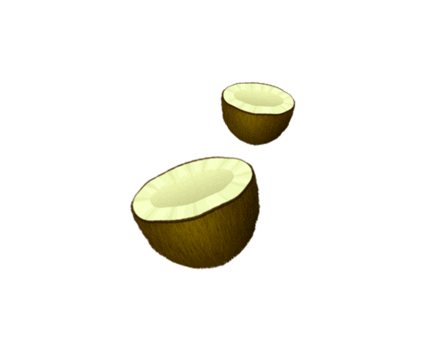 Coconut Sticker for iOS & Android | GIPHY