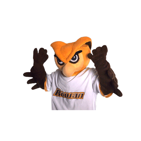 Ncaa Mascot Sticker by Rowan University for iOS & Android | GIPHY