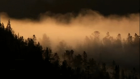 Mist GIF - Find & Share on GIPHY