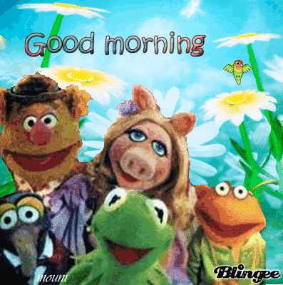 Muppets GIF - Find & Share on GIPHY