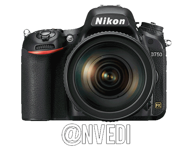 Nikon Nikoninstabadge Sticker by NikonIndia for iOS & Android | GIPHY
