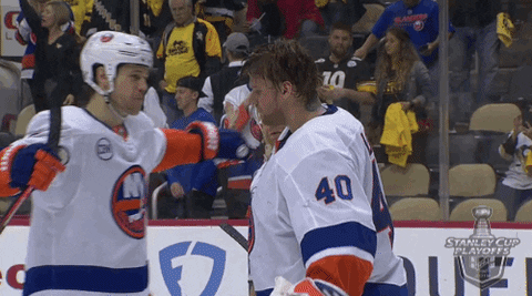 Happy 2019 Stanley Cup Playoffs GIF by NHL - Find & Share on GIPHY