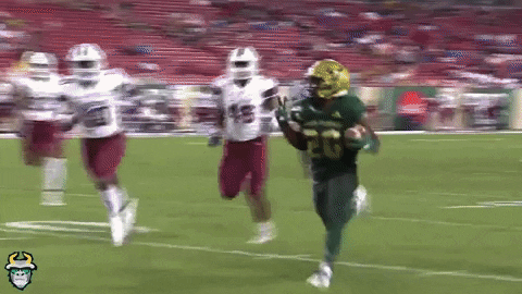 Usf Football GIF by SoFloBulls - Find & Share on GIPHY