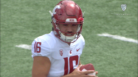 Washington State Wsu GIF by Pac12Network - Find & Share on GIPHY