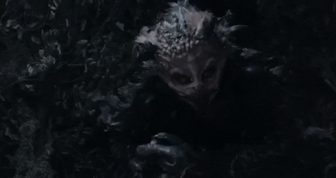 Bird Monster GIF by Crypt TV - Find & Share on GIPHY