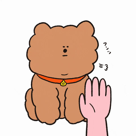 Shake hands with the dog