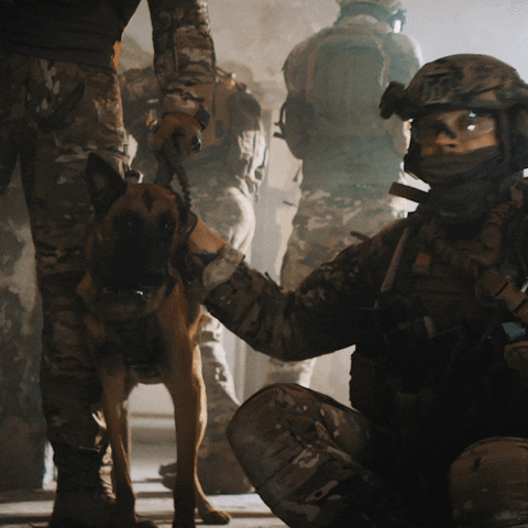 Medic Canine GIF by UF PRO - Find & Share on GIPHY