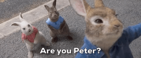 Sony GIF by Peter Rabbit Movie - Find & Share on GIPHY