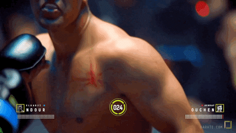 Karate Combat GIF - Find & Share on GIPHY
