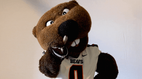 Oregon State No GIF by Oregon State University - Find & Share on GIPHY