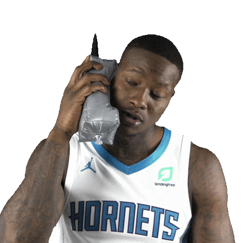 Terry Rozier Sport Sticker by Charlotte Hornets for iOS & Android | GIPHY