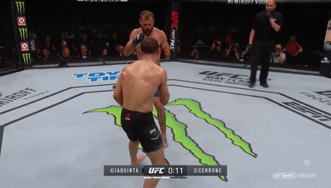 Cerrone has now dropped both Al and Edson Barboza with a jab (gifs ...