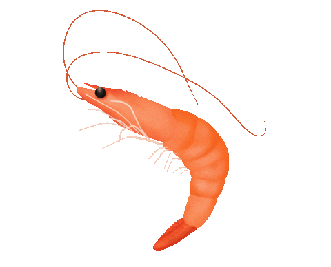 Food Sea Sticker by stephlamdesign for iOS & Android | GIPHY