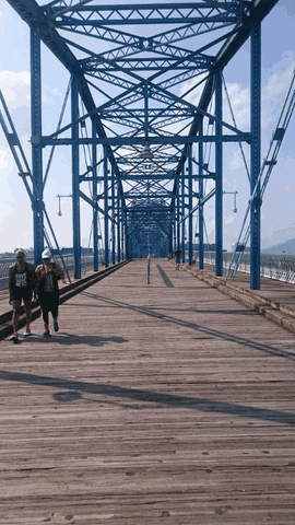 Bridge GIF - Find & Share on GIPHY