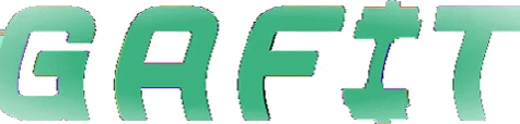 GaFit GIF - Find & Share on GIPHY